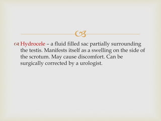 Diseases of the mal genital organs | PPTX