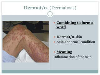 Diseases of the Nails and Skin | PPTX