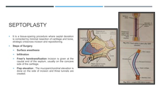 Diseases of the nasal septum | PPTX