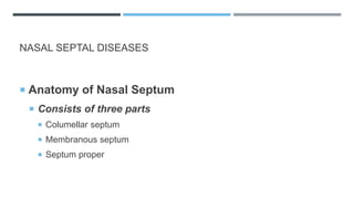 Diseases of the nasal septum | PPTX