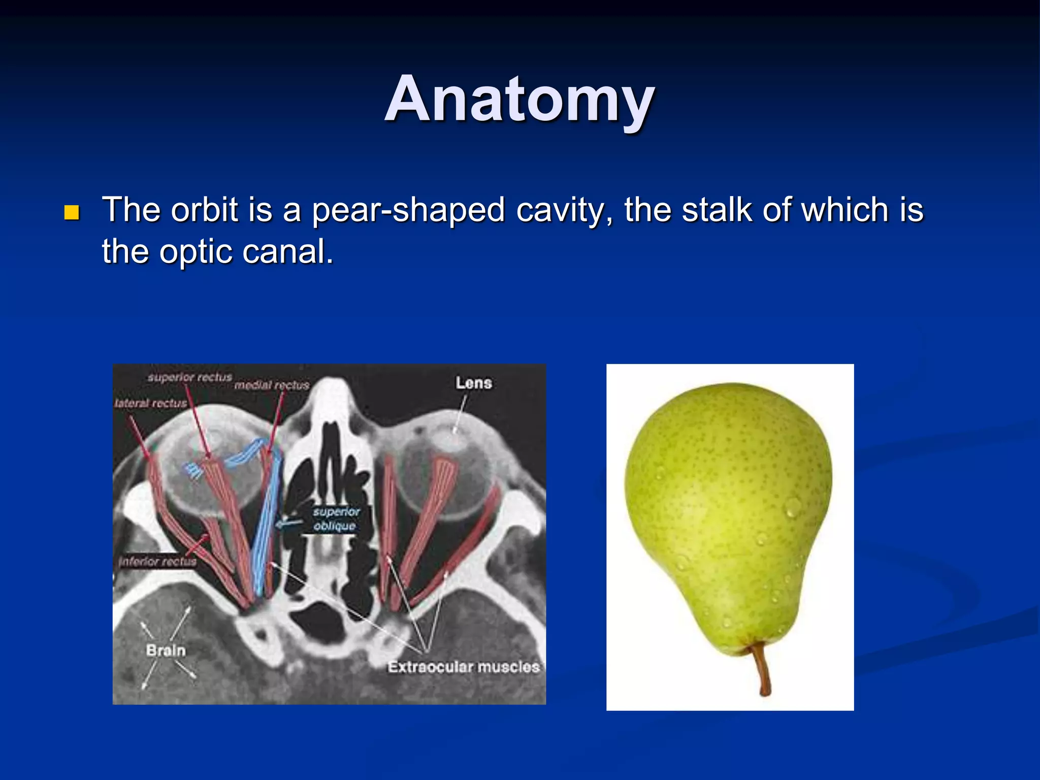 Diseases of the Orbit | PPT