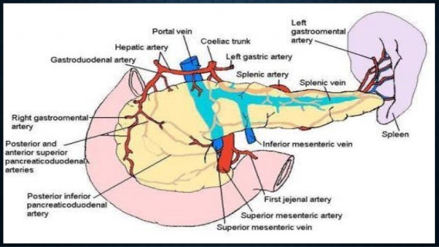 Diseases of the pancreas
