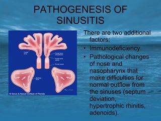 Diseases of the paranasal sinuses. | PPT