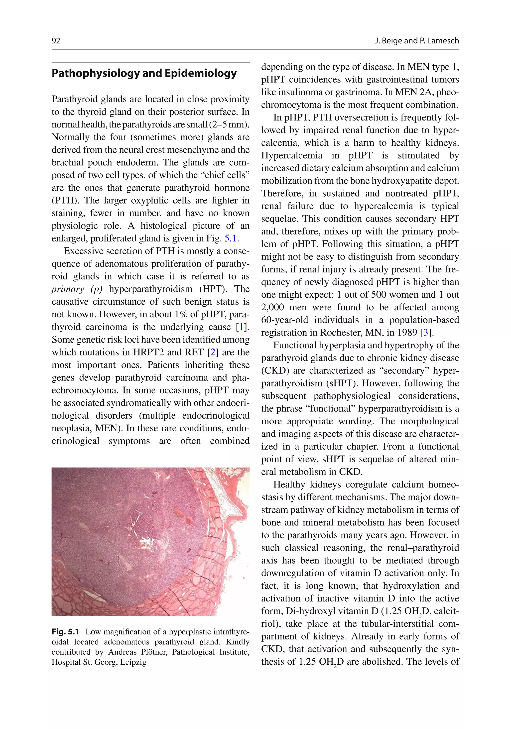 Diseases of the parathyroid glands | PDF