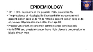 DISEASES OF THE PROSTATE, PROSTATITIS, BPH, CAP.pptx