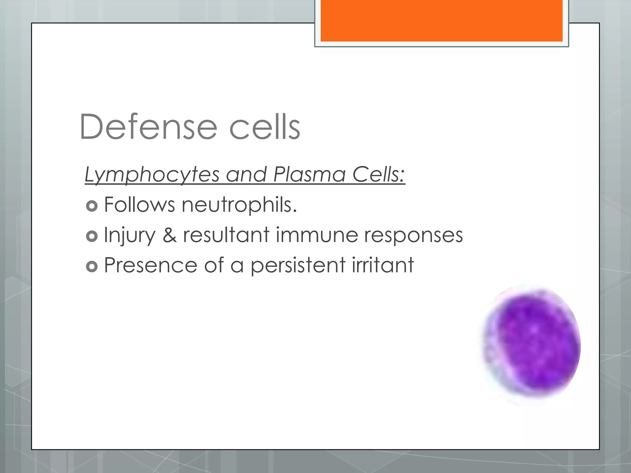 Diseases of the pulp:Part 1- Development, Physiology, Histology of ...