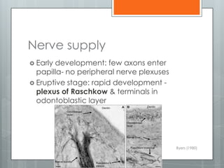 Diseases of the pulp:Part 1- Development, Physiology, Histology of ...