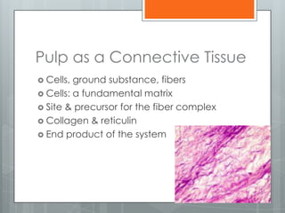 Diseases of the pulp:Part 1- Development, Physiology, Histology of ...