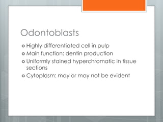 Diseases of the pulp:Part 1- Development, Physiology, Histology of ...