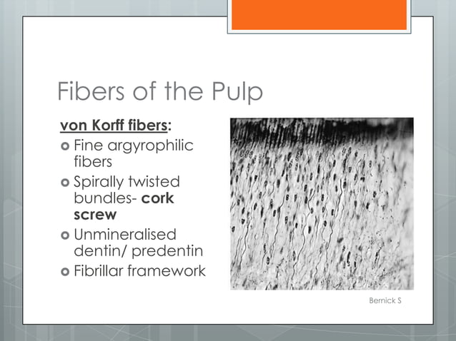 Diseases of the pulp:Part 1- Development, Physiology, Histology of ...