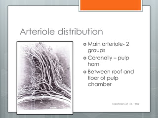 Diseases of the pulp:Part 1- Development, Physiology, Histology of ...