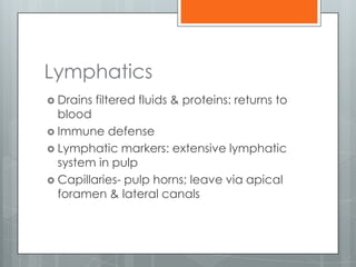 Diseases of the pulp:Part 1- Development, Physiology, Histology of ...