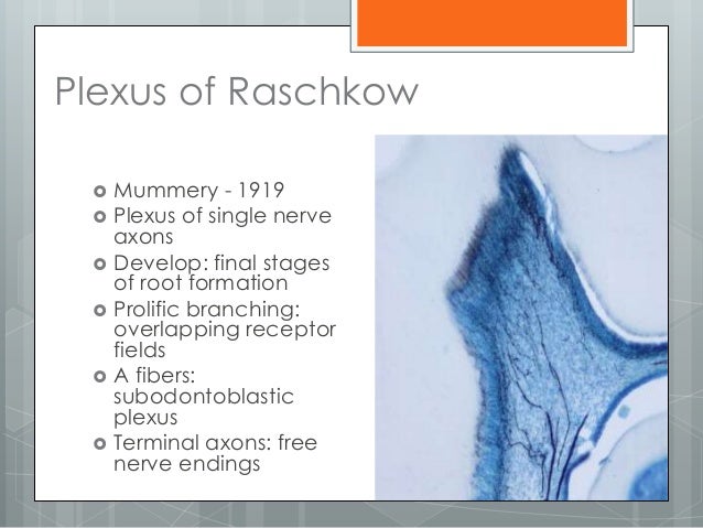 Diseases of the pulp:Part 1- Development, Physiology, Histology of De…