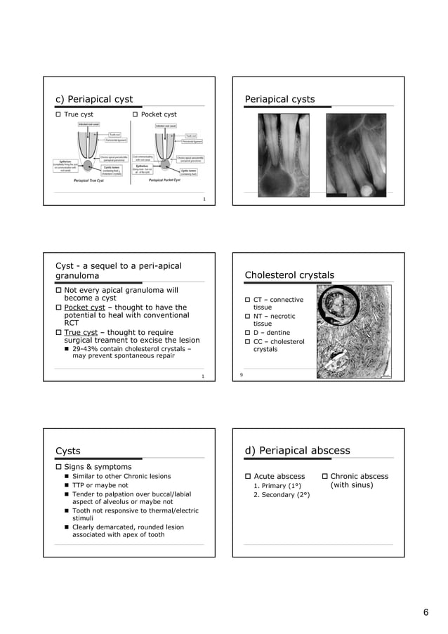 Diseases of the pulp & peri apical tissues 2009 | PDF | Dental Health ...