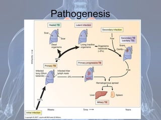 Diseases of the respiratory system | PPT
