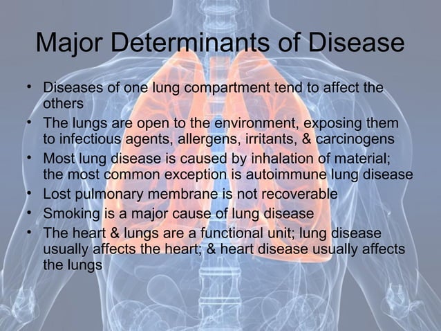 Diseases of the respiratory system | PPT | Lung and Respiratory Health ...
