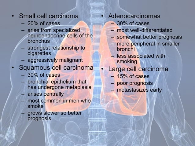 Diseases of the respiratory system | PPT