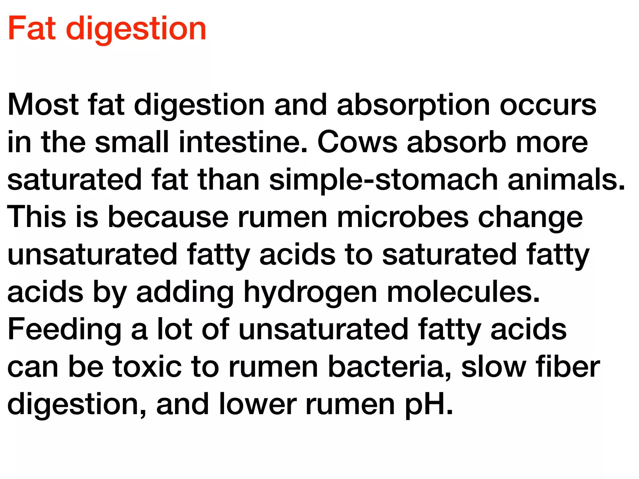 Diseases of the ruminant digestive tract | PDF