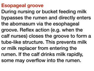 Diseases of the ruminant digestive tract | PDF