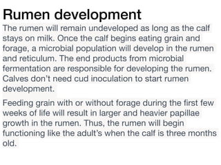 Diseases of the ruminant digestive tract | PDF