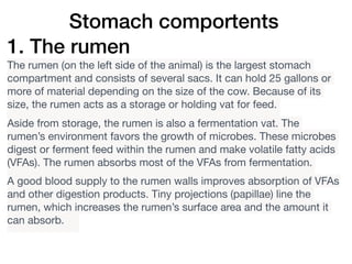 Diseases of the ruminant digestive tract | PDF
