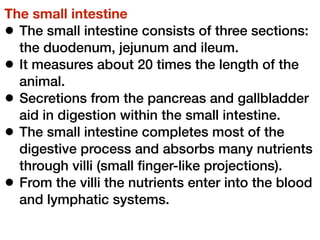 Diseases of the ruminant digestive tract | PDF