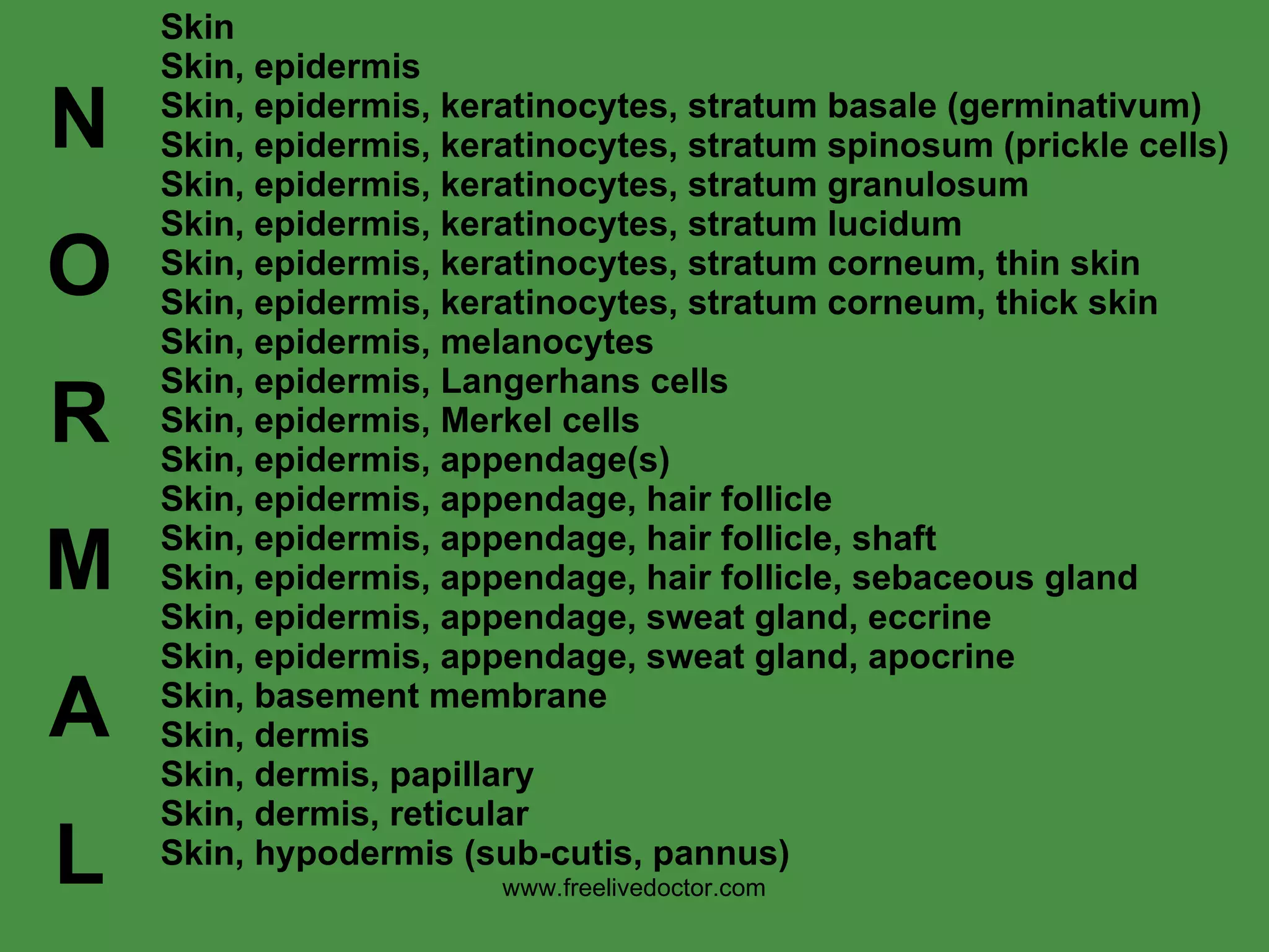 Diseases of the skin | PPT