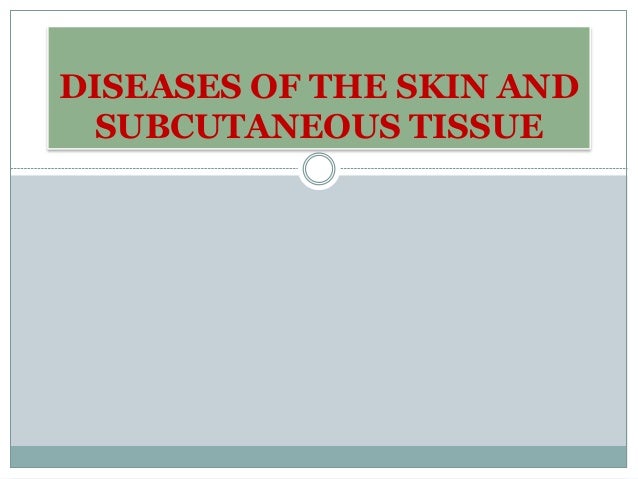 Subcutaneous Tissue Slide