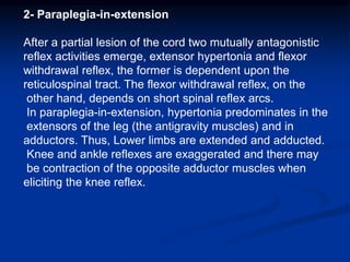 Diseases of the spinal cord | PPT
