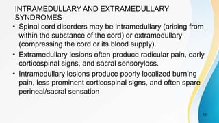 Diseases of the spinal cord.pptx