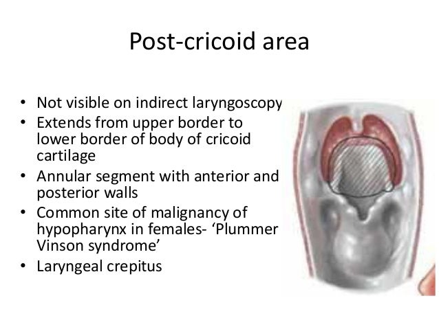 Diseases of the throat by Dr. Kavitha Ashok Kumar MSU Malaysia