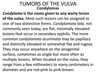 DISEASES OF THE VULVA BY PRECllllIOUS.pptx