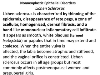 DISEASES OF THE VULVA BY PRECllllIOUS.pptx | Sexual Conditions | Sexual ...