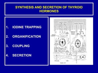 Diseases of thyroid gland | PPT