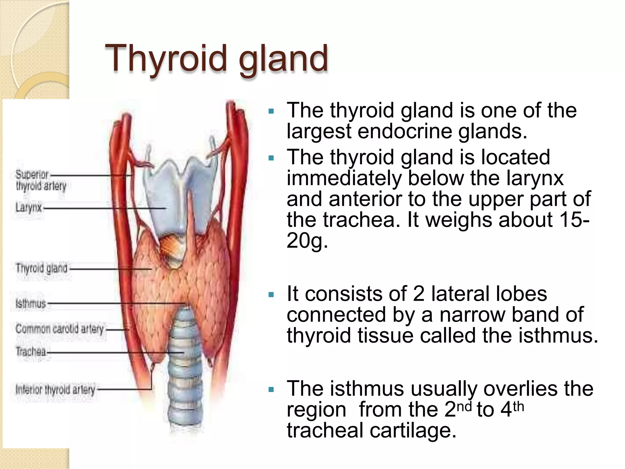 Diseases of thyroid gland.pptx
