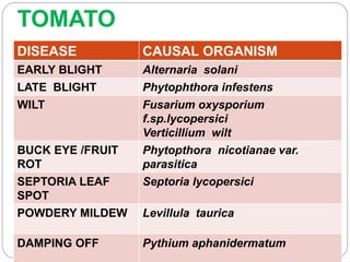 diseasesoftomatonew-200728083816.pdf