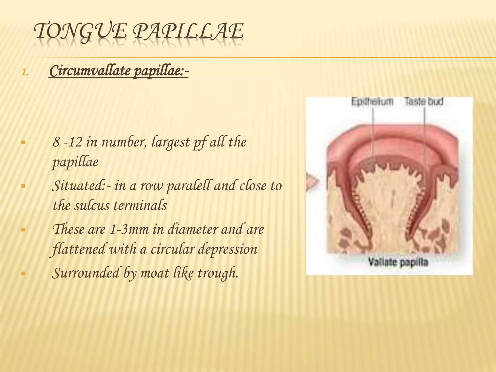 Diseases of tongue | PPTX
