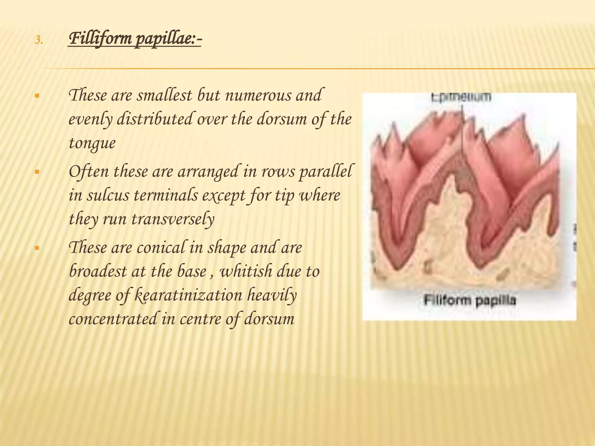 Diseases of tongue | PPTX