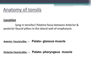 Diseases of tonsils and adenoids | PPTX