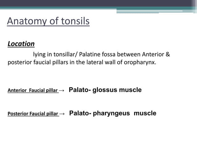 Diseases of tonsils and adenoids | PPTX | Ear, Nose and Throat ...