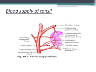 Diseases of tonsils and adenoids | PPTX