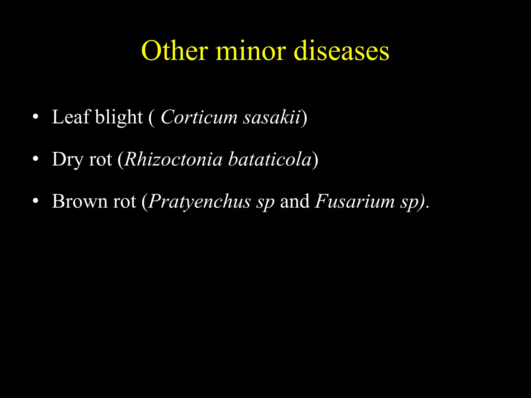 Diseases of turmeric | PPTX