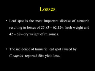 Diseases of turmeric | PPTX