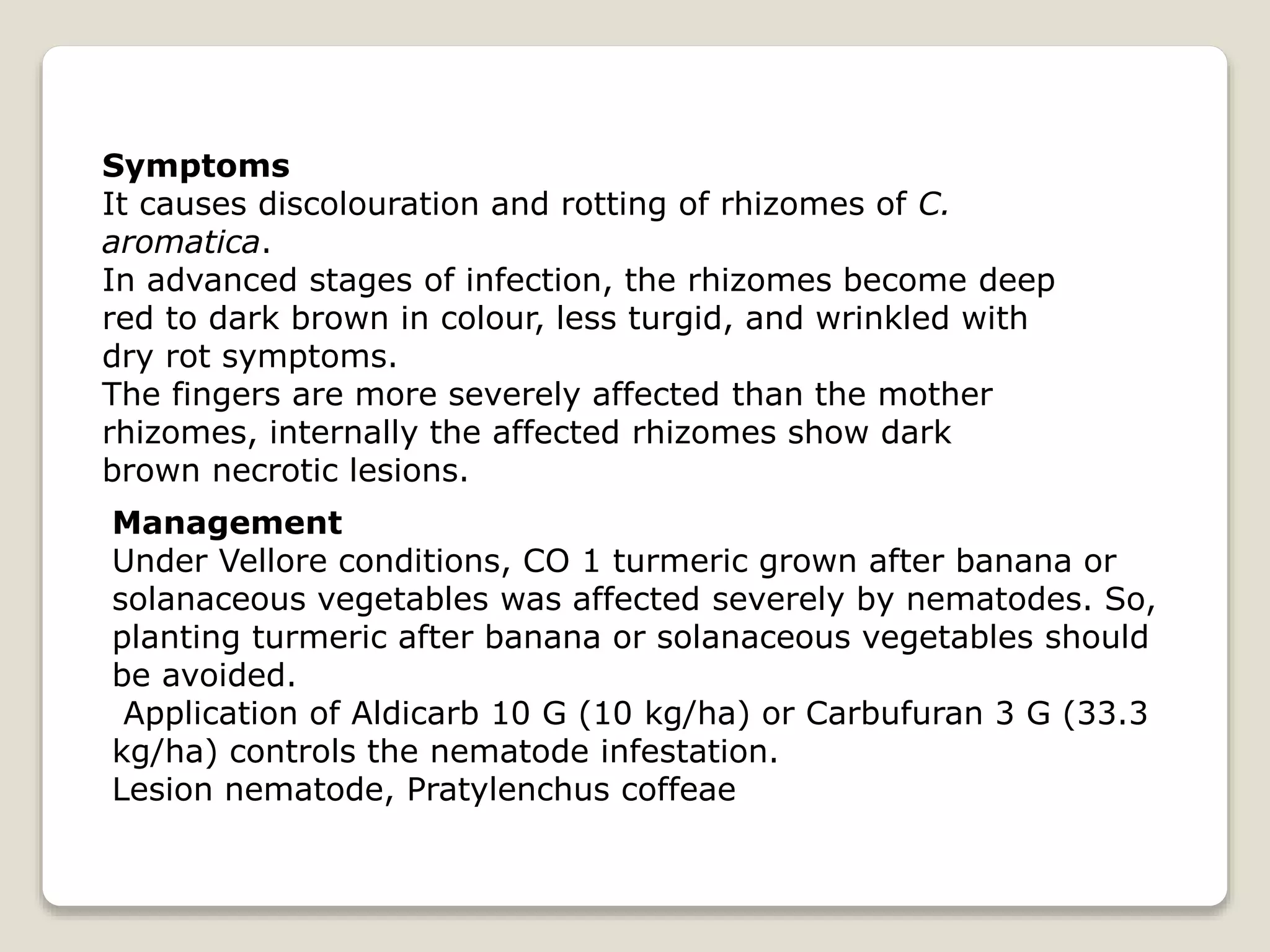 Diseases of turmeric and management | PPTX