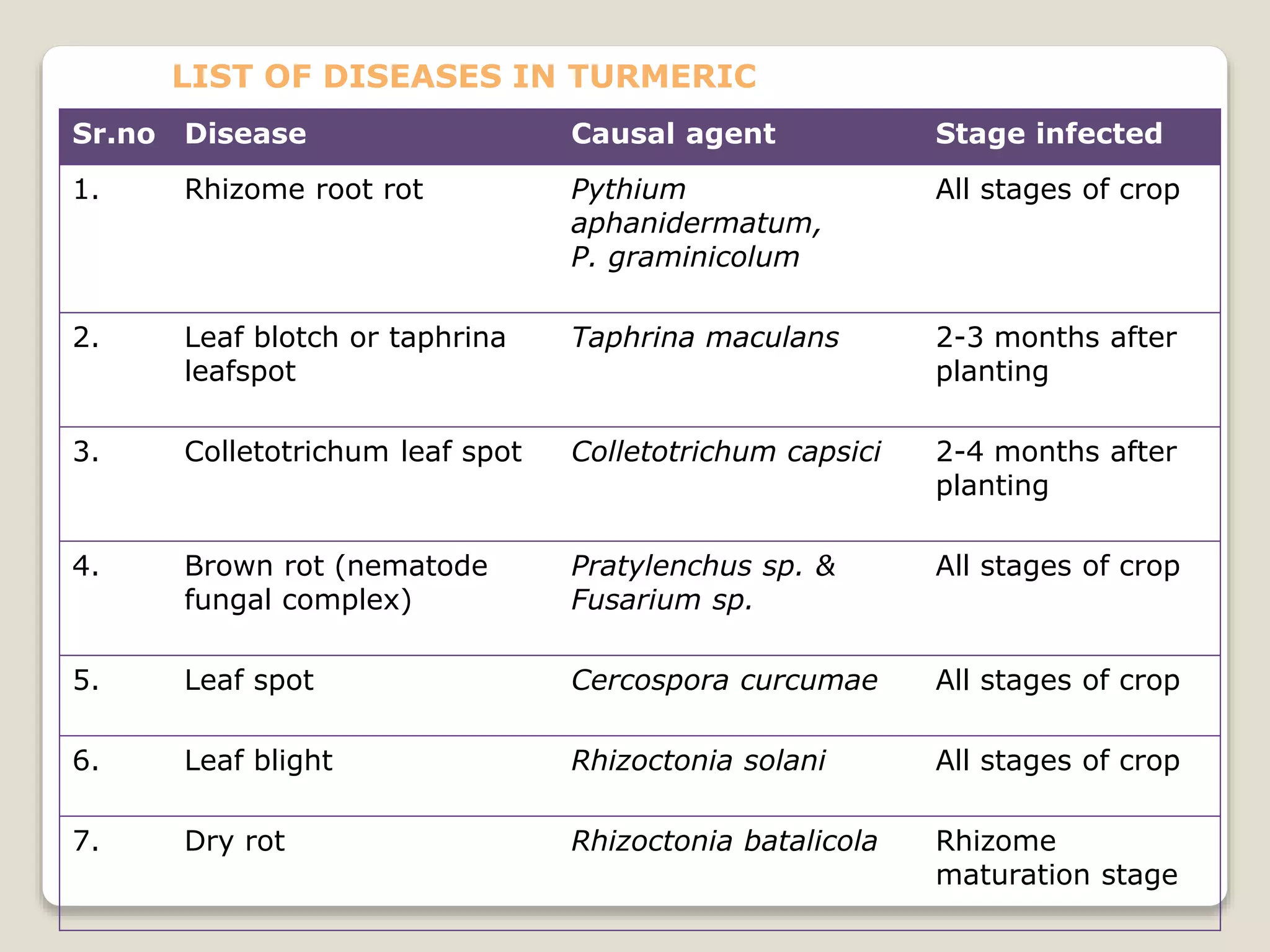 Diseases of turmeric and management | PPTX