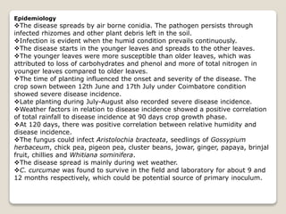 Diseases of turmeric and management | PPTX