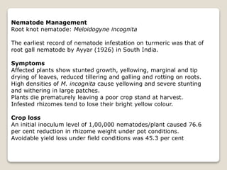 Diseases of turmeric and management | PPTX