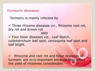 Diseases of turmeric and management | PPTX