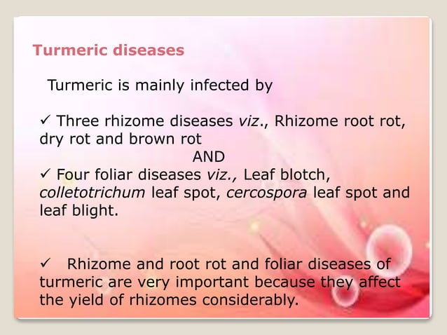 Diseases of turmeric and management | PPTX