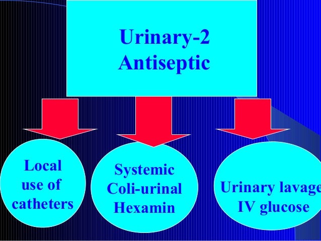 Diseases of urinary system in farm animals